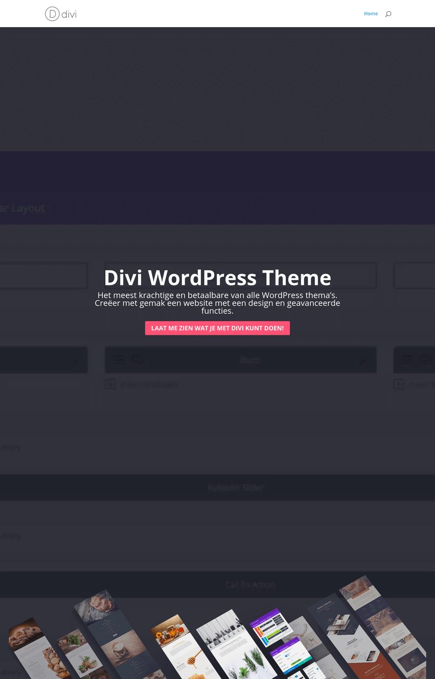 divi-theme-netherlands - WPTheme
