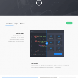 salient-theme-wordpress-portfolio - WPTheme